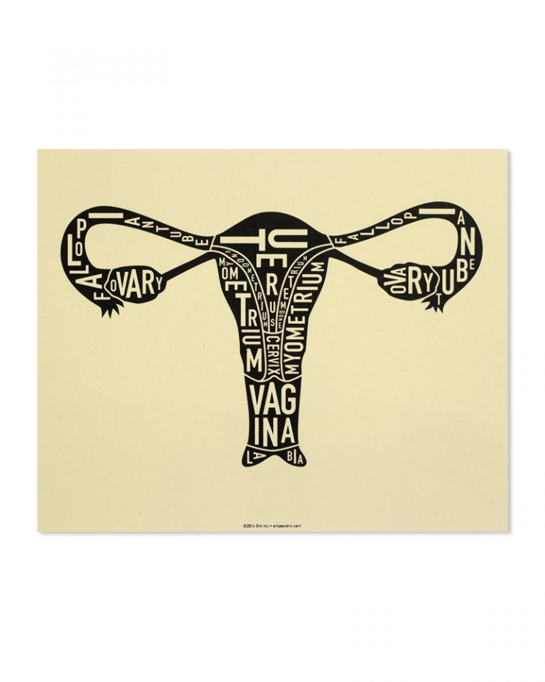 Reproductive Anatomy Typographic Art - Original Design by Ork Posters