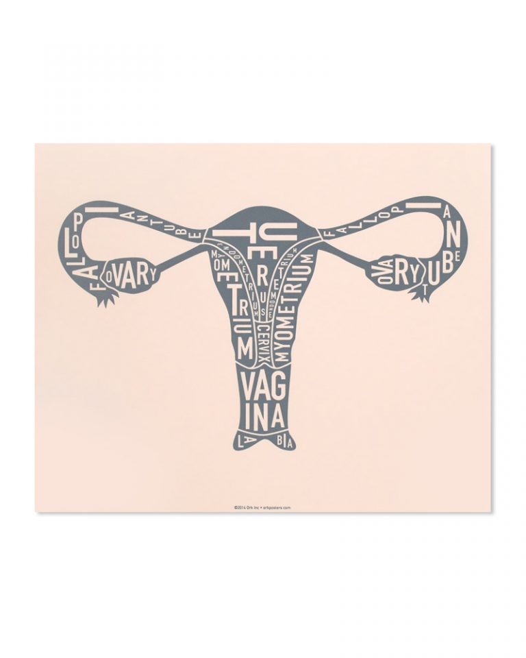 Reproductive Anatomy Typographic Art - Original Design by Ork Posters