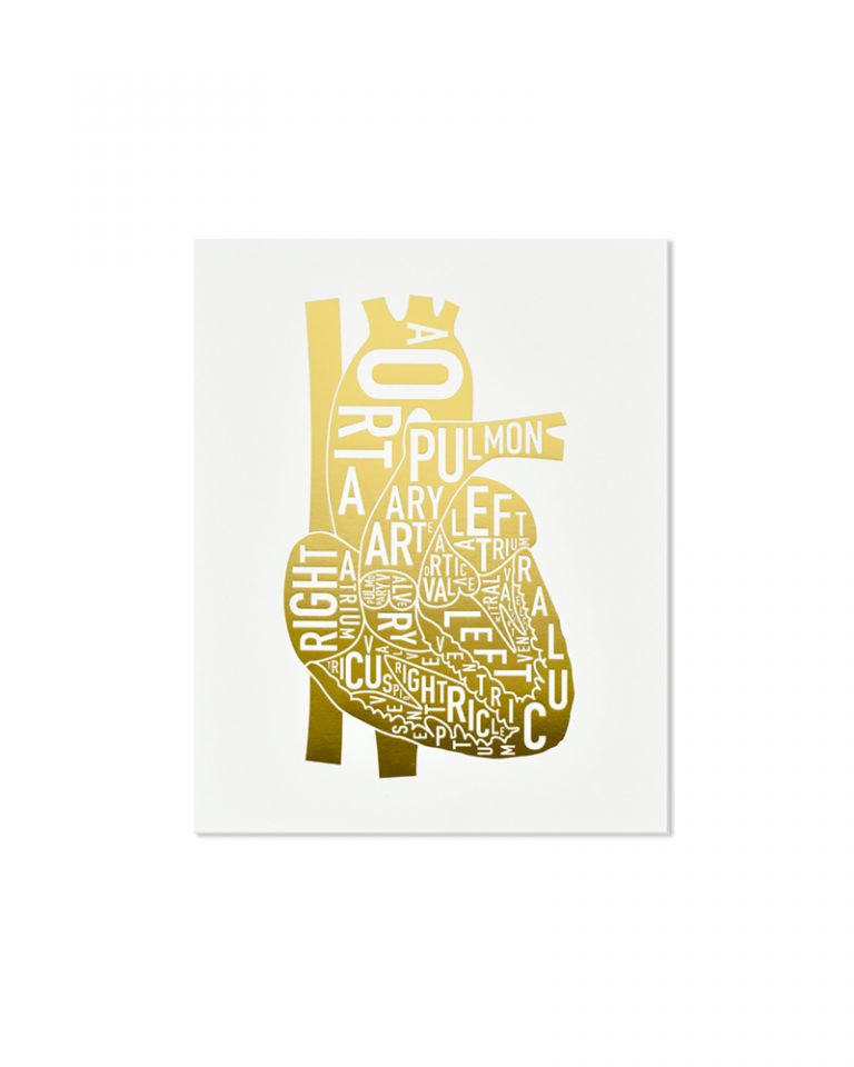 Heart Anatomy Typographic Art Prints - Human Heart Design by Ork Posters